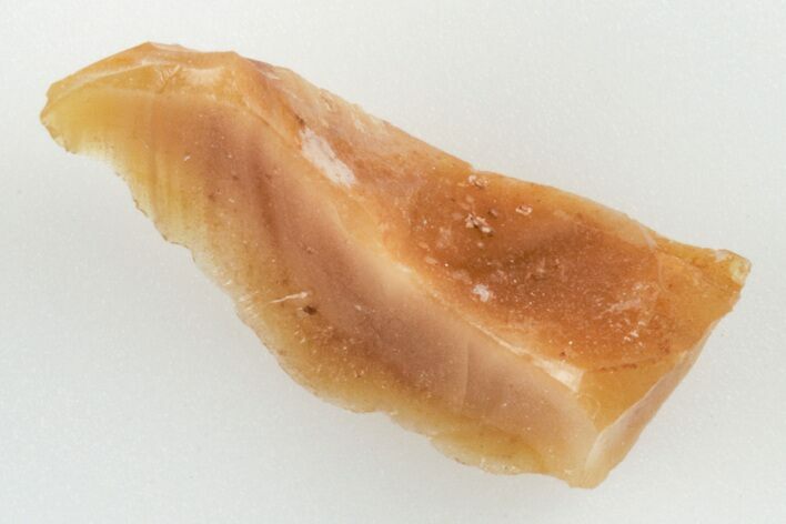 .4" Kansas Amber (Jelinite) Specimen - George Jelinek Collection ...