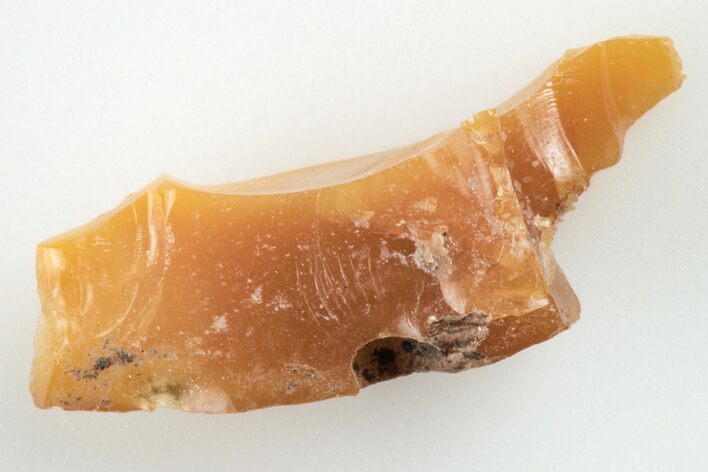 .6" Kansas Amber (Jelinite) Specimen - George Jelinek Collection ...