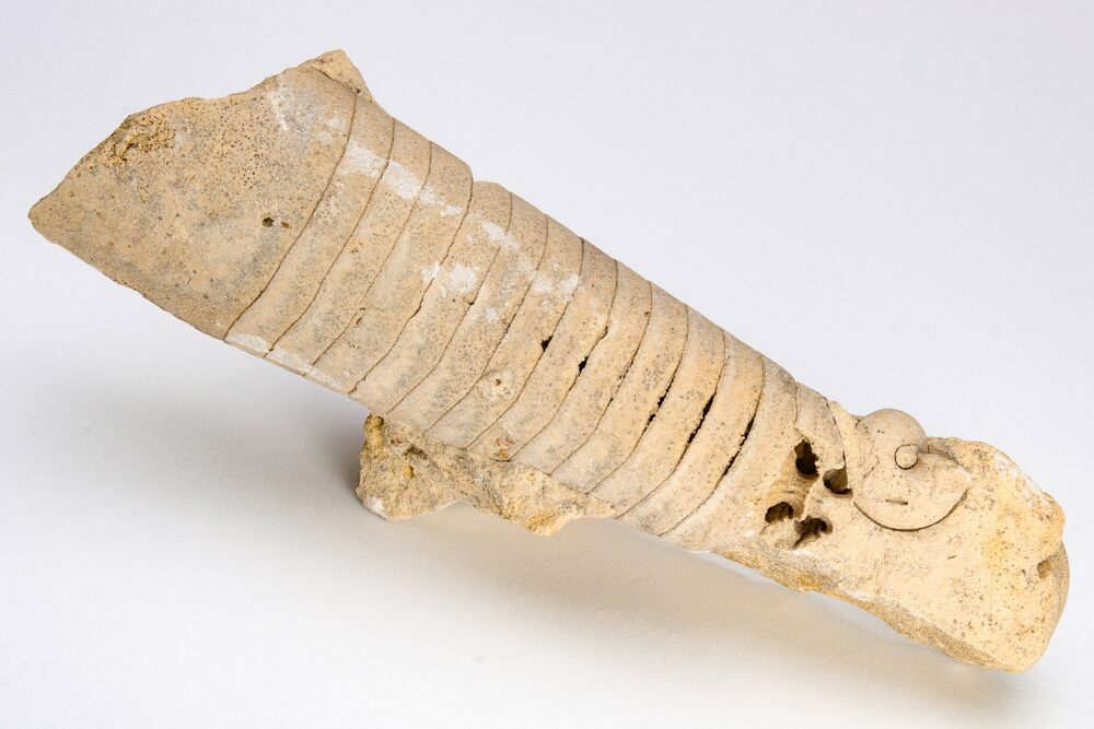 4.1" Ordovician Cephalopod (Actinoceras) Fossil - Wisconsin (#204192 ...