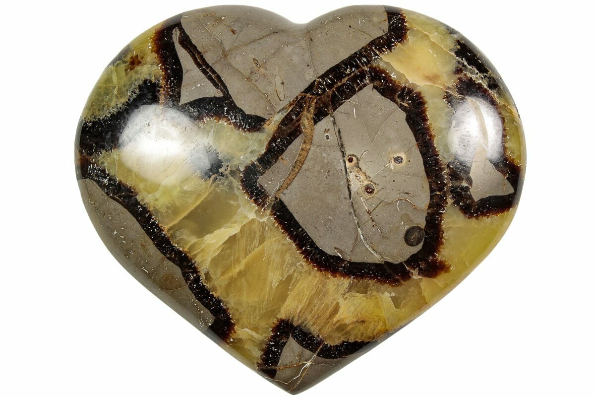 3.65" Polished Septarian Heart - Madagascar (#205362) For Sale ...