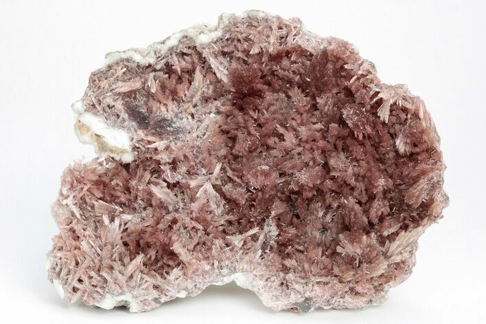 2.9" Fibrous, Rose-Red Inesite Crystal Aggregation - South Africa ...