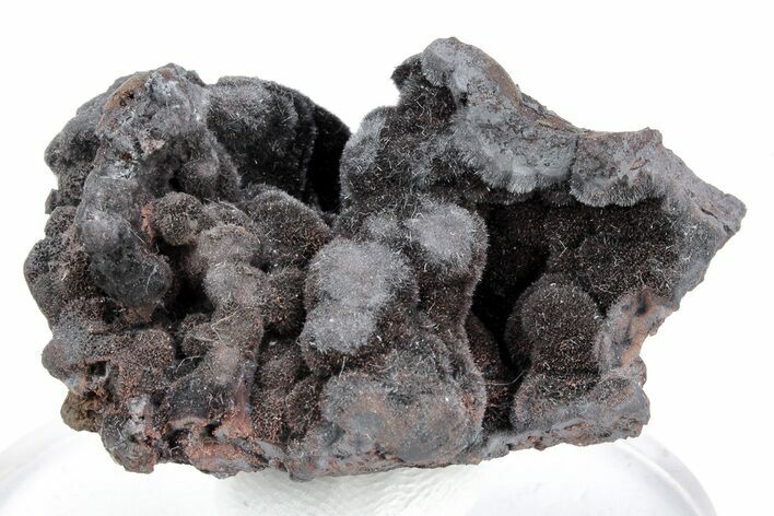 1.7" Needle-Like Pyrolusite Crystals on Matrix - Mexico (#211840) For ...