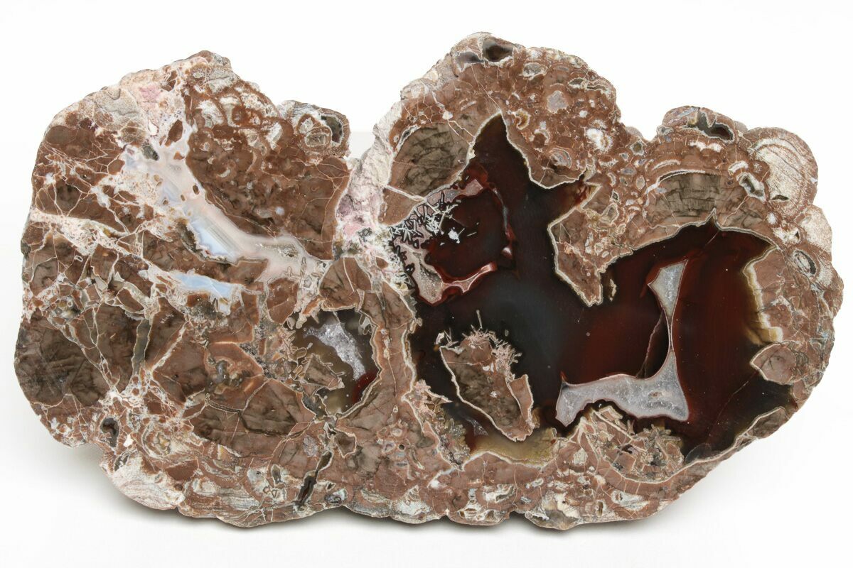 5.5" Polished Baker Ranch Thunderegg - New Mexico (#217122) For Sale ...