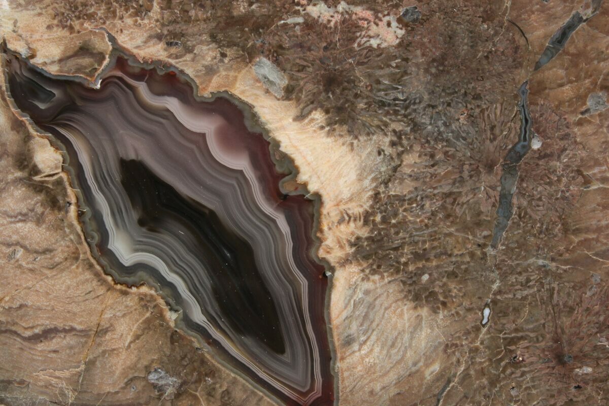 4.4" Polished Baker Ranch Thunderegg - New Mexico (#217125) For Sale ...