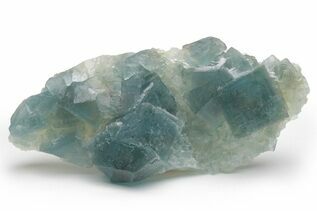 FossilEra - Fossils, Meteorites & Minerals For Sale - FossilEra.com