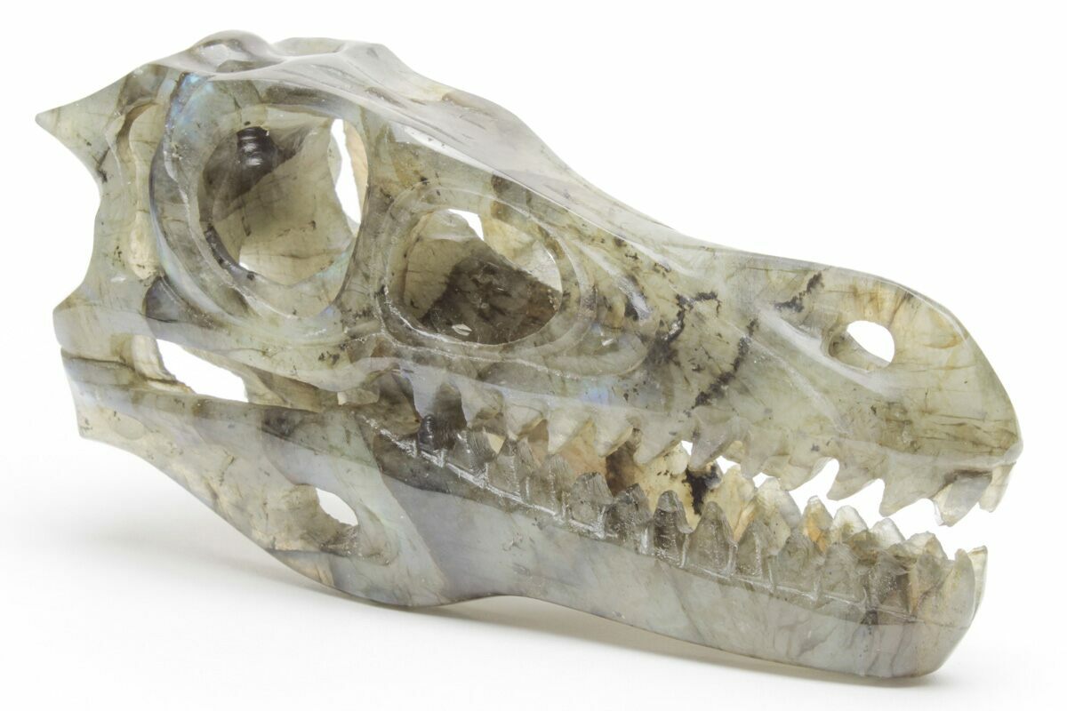 5" Carved Labradorite Dinosaur Skull (#218494) For Sale - FossilEra.com