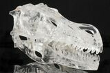 10" Carved Quartz Crystal Dinosaur Skull - Roar! (#218503) For Sale ...