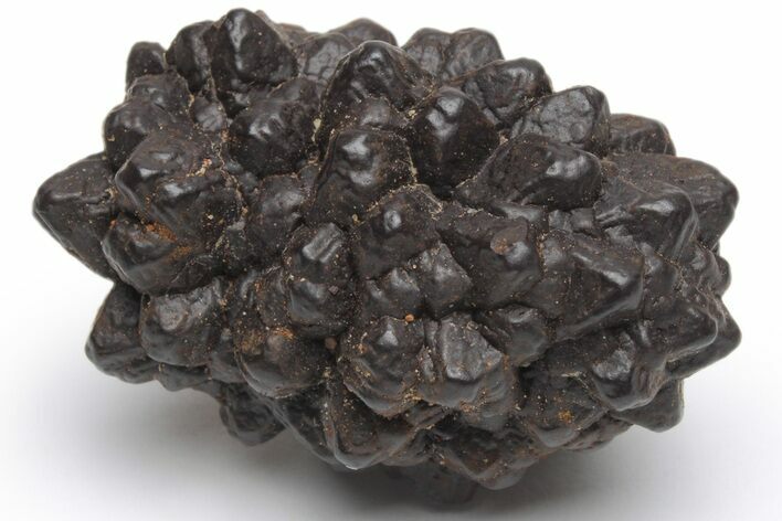 1.3" Goethite (Limonite) Pseudomorph after Pyrite/Marcasite - Egypt ...