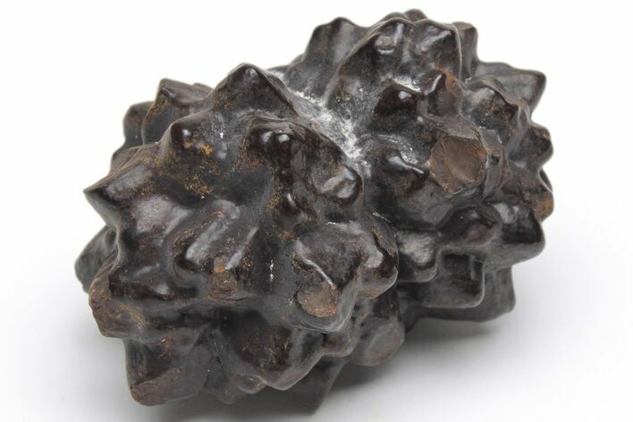 1.4" Goethite (Limonite) Pseudomorph after Pyrite/Marcasite - Egypt ...