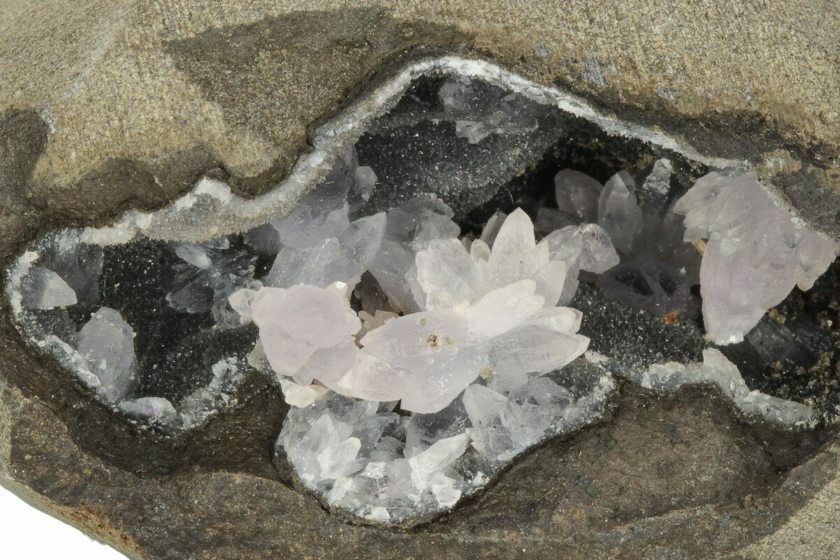 2.05" Amethyst Crystals on Sparkling Quartz Chalcedony - India (#220063 ...