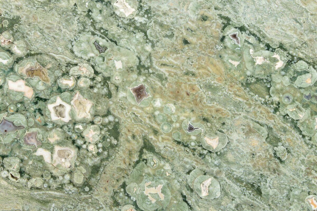 8.4" Polished Rainforest Jasper (Rhyolite) Slab - Australia (#221928 ...