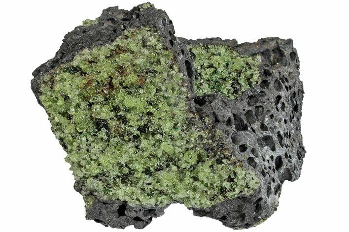 4" Peridot in Basalt - Arizona (#220414) For Sale - FossilEra.com