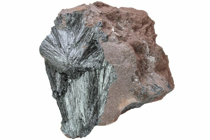 5.3" Metallic, Needle-Like Pyrolusite Crystals - Morocco (#220639) For ...