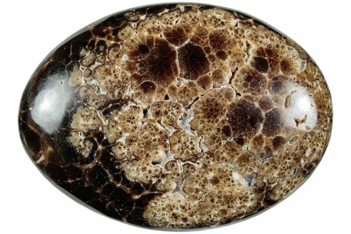 2.8" Polished Chocolate Calcite Palm Stone - Pakistan (#220937) For ...