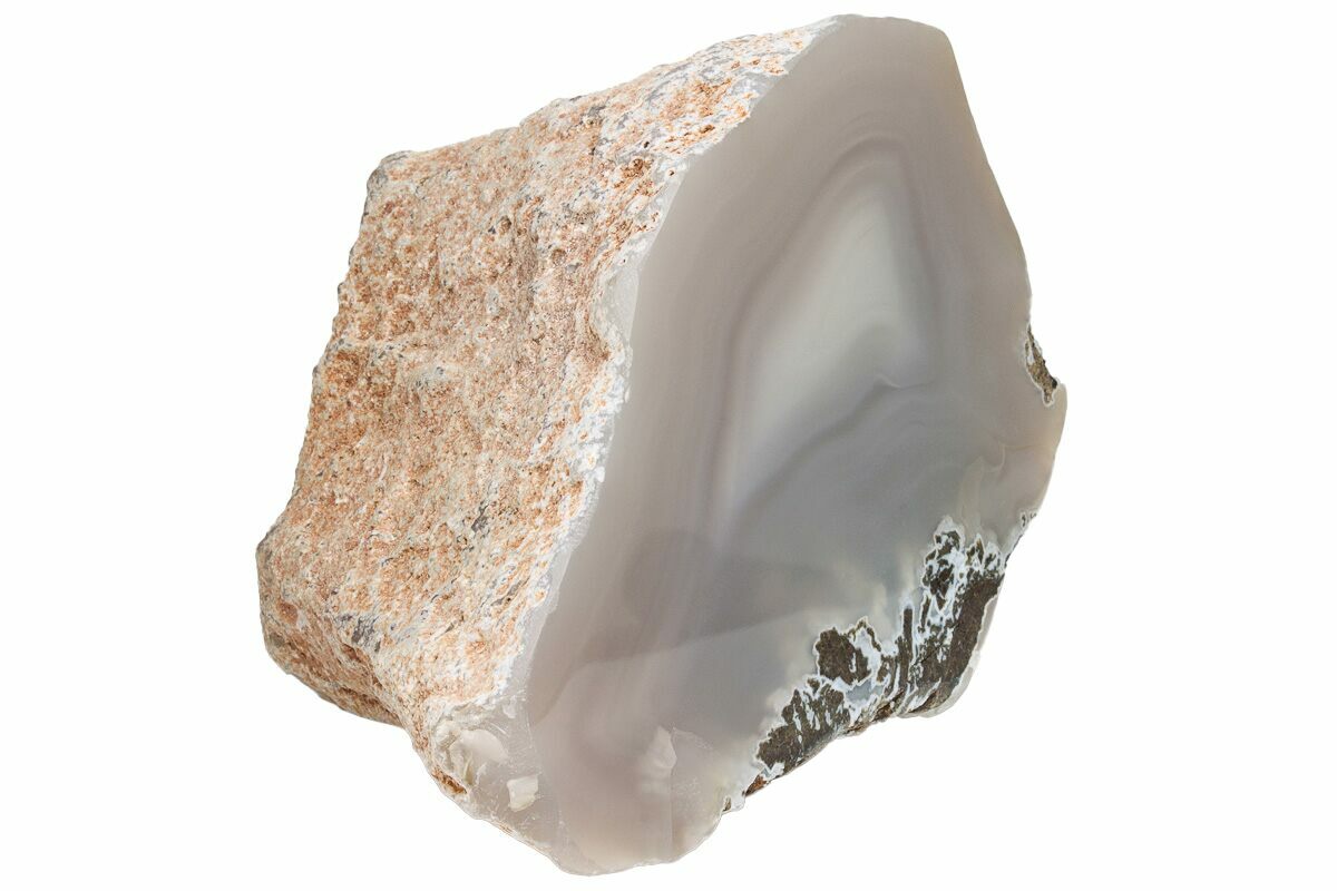 4.9" Banded Agate Petrified Wood Limb Cast - Oregon (#225049) For Sale ...
