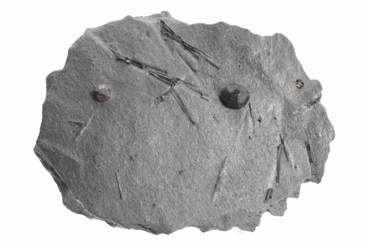 3.7" Plate of Two Red Embers Garnets in Graphite - Massachusetts ...