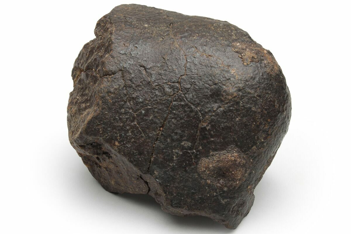 2.9" Chondrite Meteorite (245 g) - Western Sahara Desert (#226972) For ...