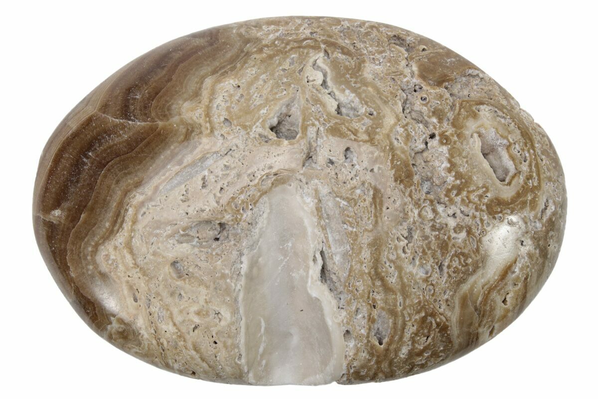 2.75" Polished Chocolate Calcite Palm Stone - Pakistan (#220973) For ...