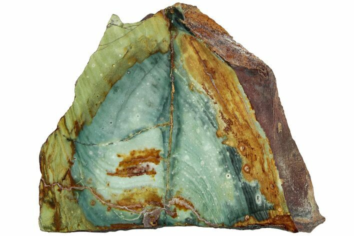 5.2" Gary Green Jasper (Larsonite) Bog Wood Slab - Oregon (#227921) For ...