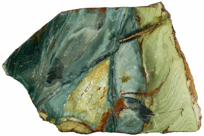 6.5" Gary Green Jasper (Larsonite) Bog Wood Slab - Oregon (#227937) For ...
