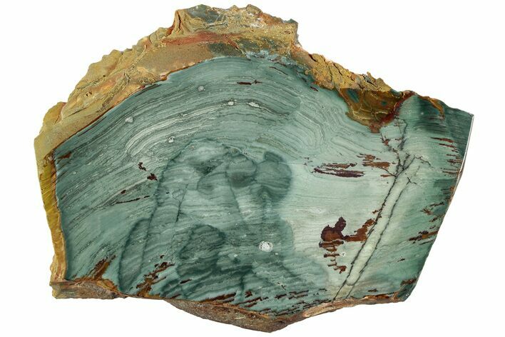 7" Gary Green Jasper (Larsonite) Bog Wood Slab - Oregon (#227940) For ...