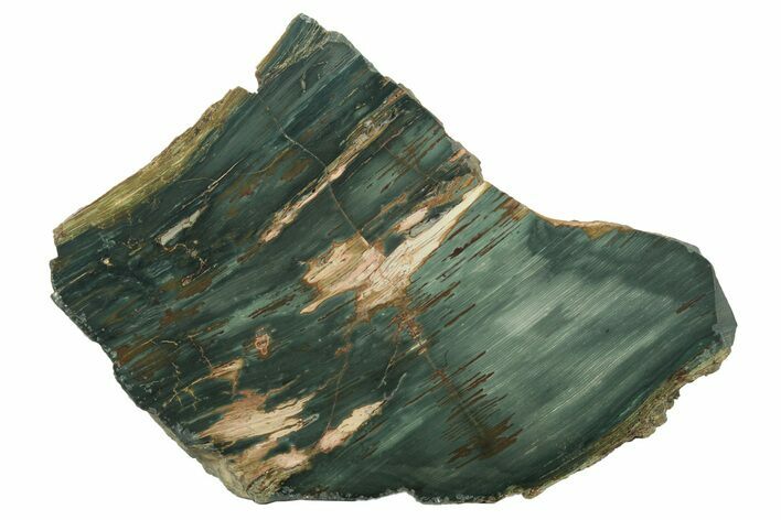 7" Gary Green Jasper (Larsonite) Bog Wood Section - Oregon (#228025 ...