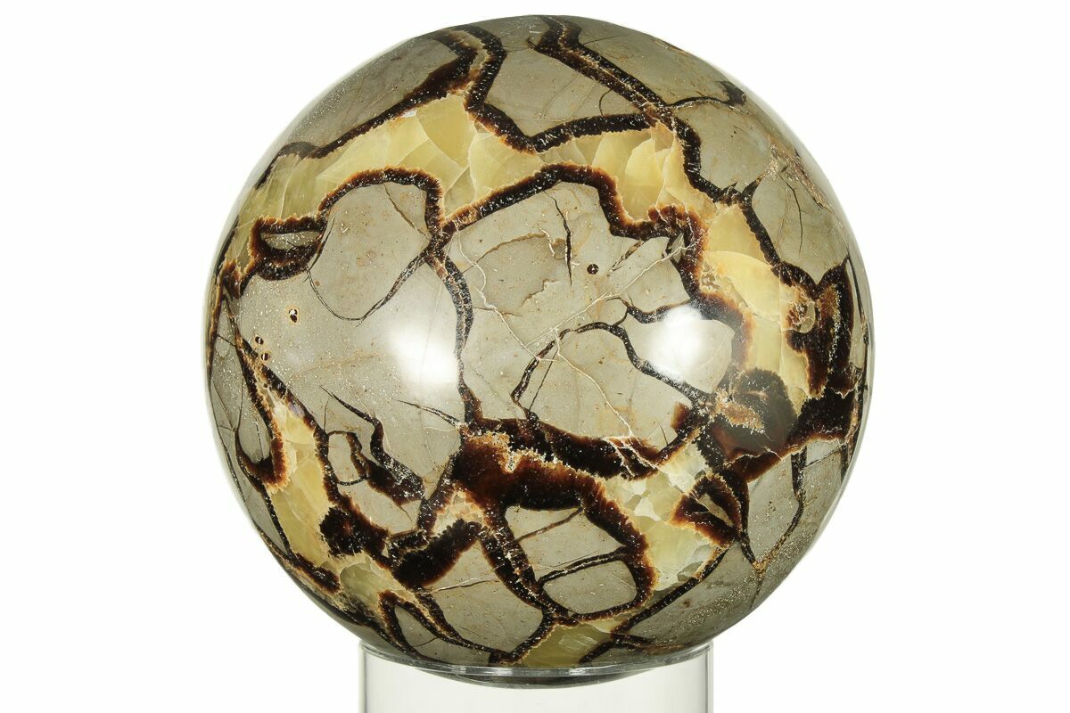 5.7" Polished Septarian Sphere - Madagascar (#227468) For Sale ...