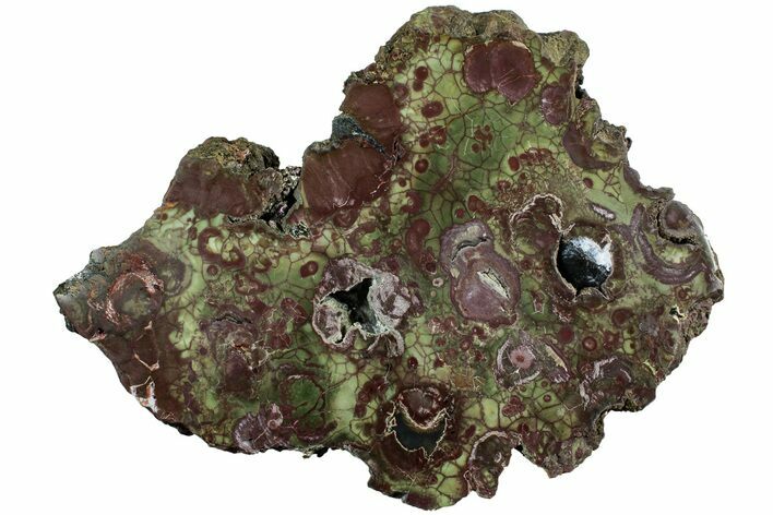 9.6" Polished Spiderweb Jasper Slab - Oregon (#229064) For Sale ...