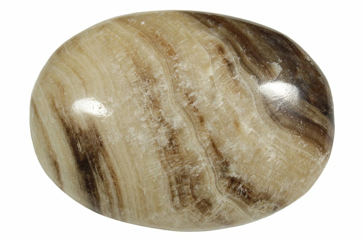 3" Polished Chocolate Calcite Palm Stone - Pakistan (#220942) For Sale ...