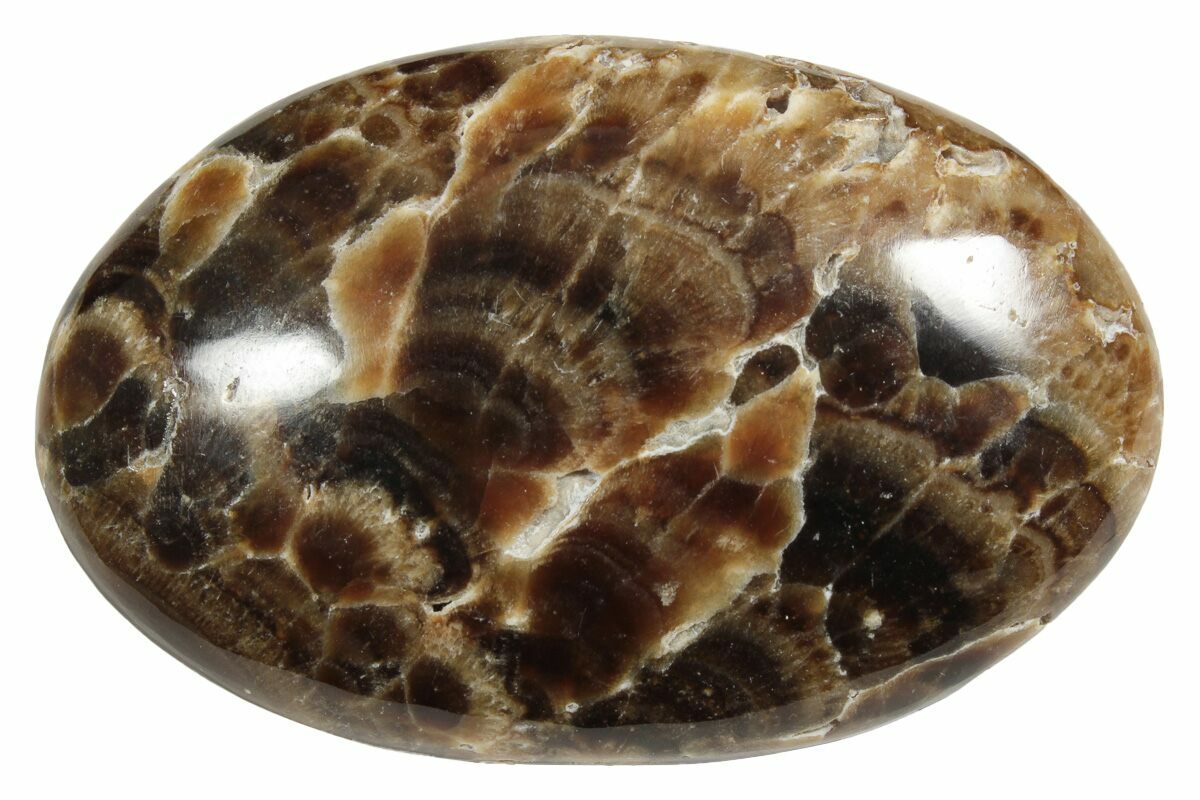 3.1" Polished Chocolate Calcite Palm Stone - Pakistan (#220955) For ...