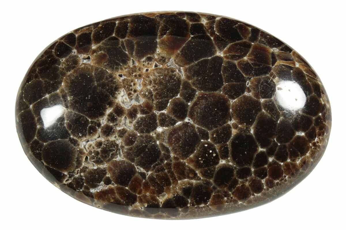 3" Polished Chocolate Calcite Palm Stone - Pakistan (#220960) For Sale ...