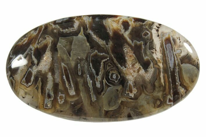 1.6" Polished Turkish Stick Agate Cabochon (#227418) For Sale ...