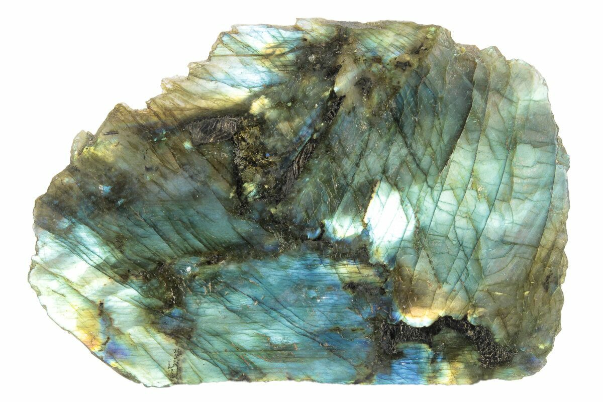 5.1" Single Side Polished Labradorite Slab - Madagascar (#230257) For ...