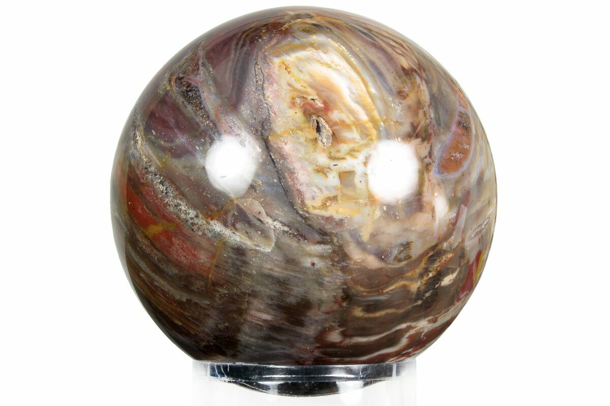 3" Colorful Petrified Wood (Araucaria) Sphere - Madagascar (#229822 ...