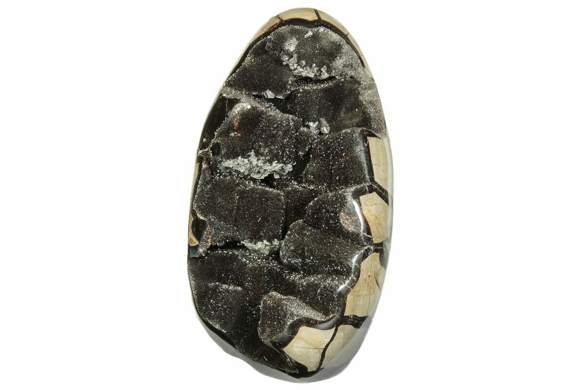 8.2" Free-Standing, Polished Septarian Geode - Black Crystals (#230401 ...