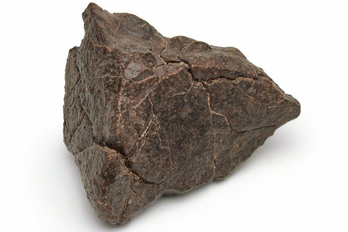 2.7" Chondrite Meteorite (164 g) - Western Sahara Desert (#232071) For ...