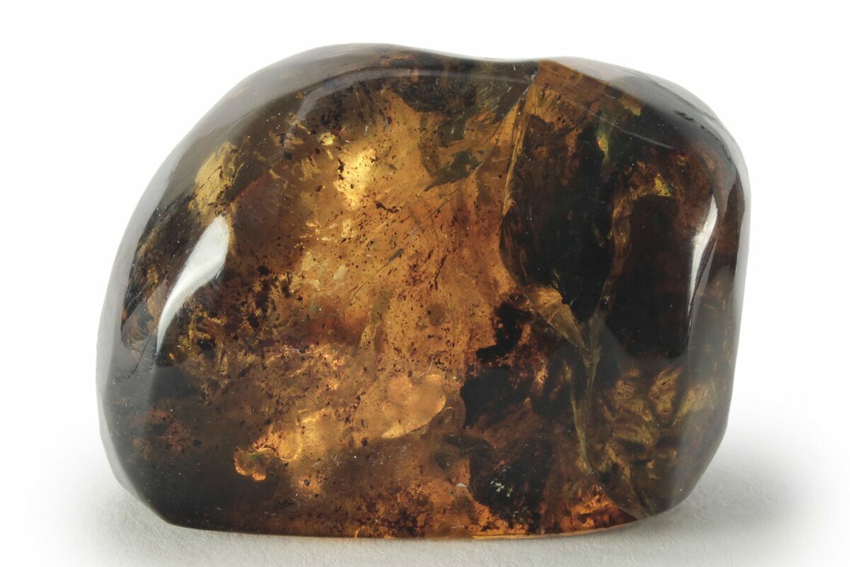 1.3" Polished Chiapas Amber (10.6 g) - Mexico (#232574) For Sale ...