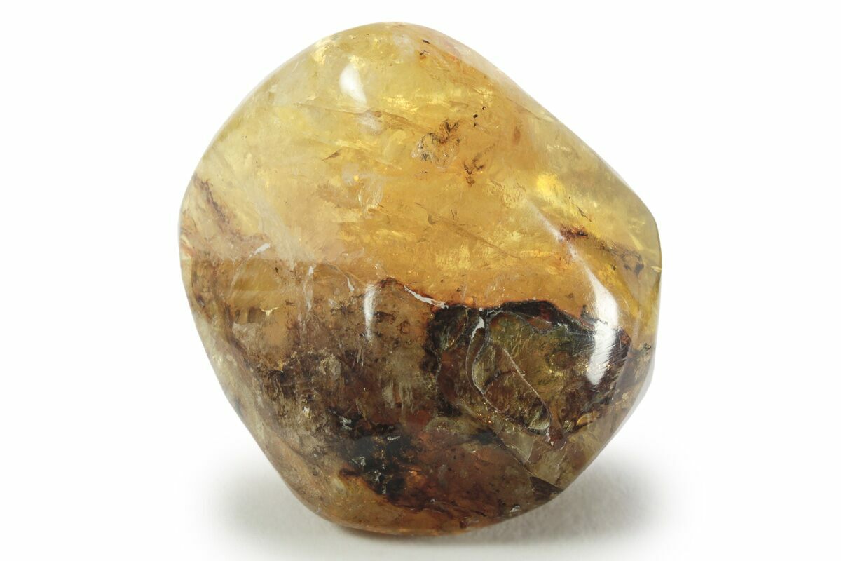 1.4" Polished Chiapas Amber (11.5 g) - Mexico (#232590) For Sale ...