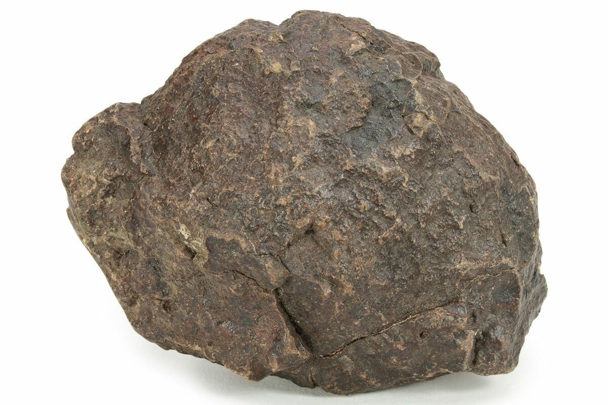 3.2" Chondrite Meteorite (308.5 g) - Western Sahara Desert (#232953 ...