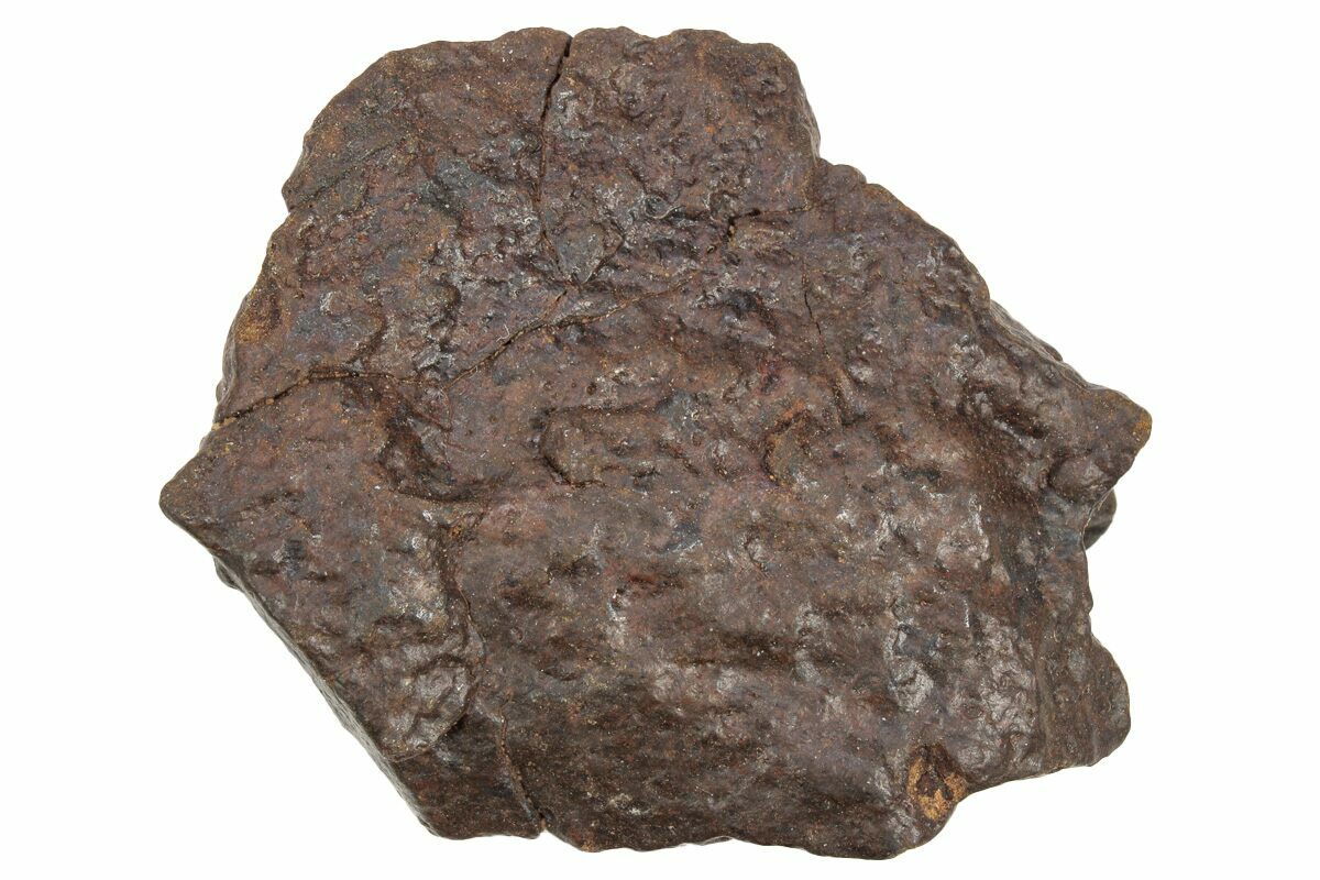 2" Chondrite Meteorite (75.5 g) - Western Sahara Desert (#233198) For ...