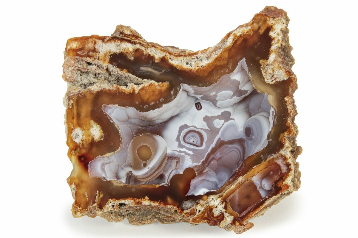 2.85" Agate Replaced Fossil Coral - Florida (#234355) For Sale ...