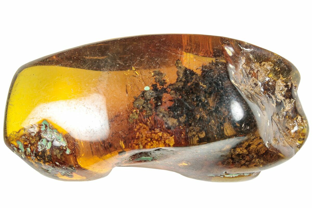1.5" Polished Chiapas Amber (5.9 g) - Mexico (#237446) For Sale ...