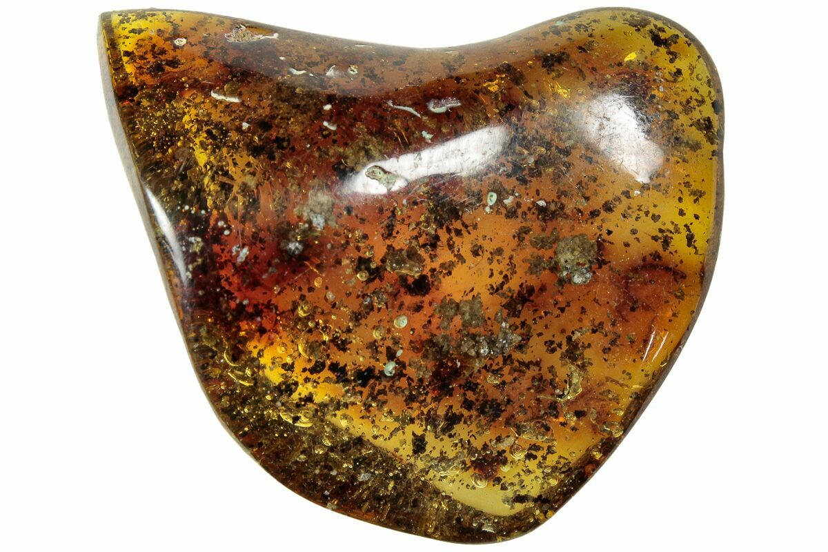 1.3" Polished Chiapas Amber (5.7 g) - Mexico (#237454) For Sale ...