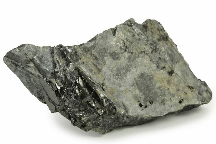 1.9" Lustrous Shungite In Host Rock - Colombia (#237696) For Sale ...