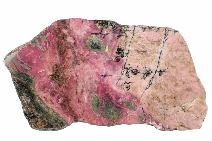 6.6" Polished Rhodonite Slab - Australia (#239721) For Sale - FossilEra.com