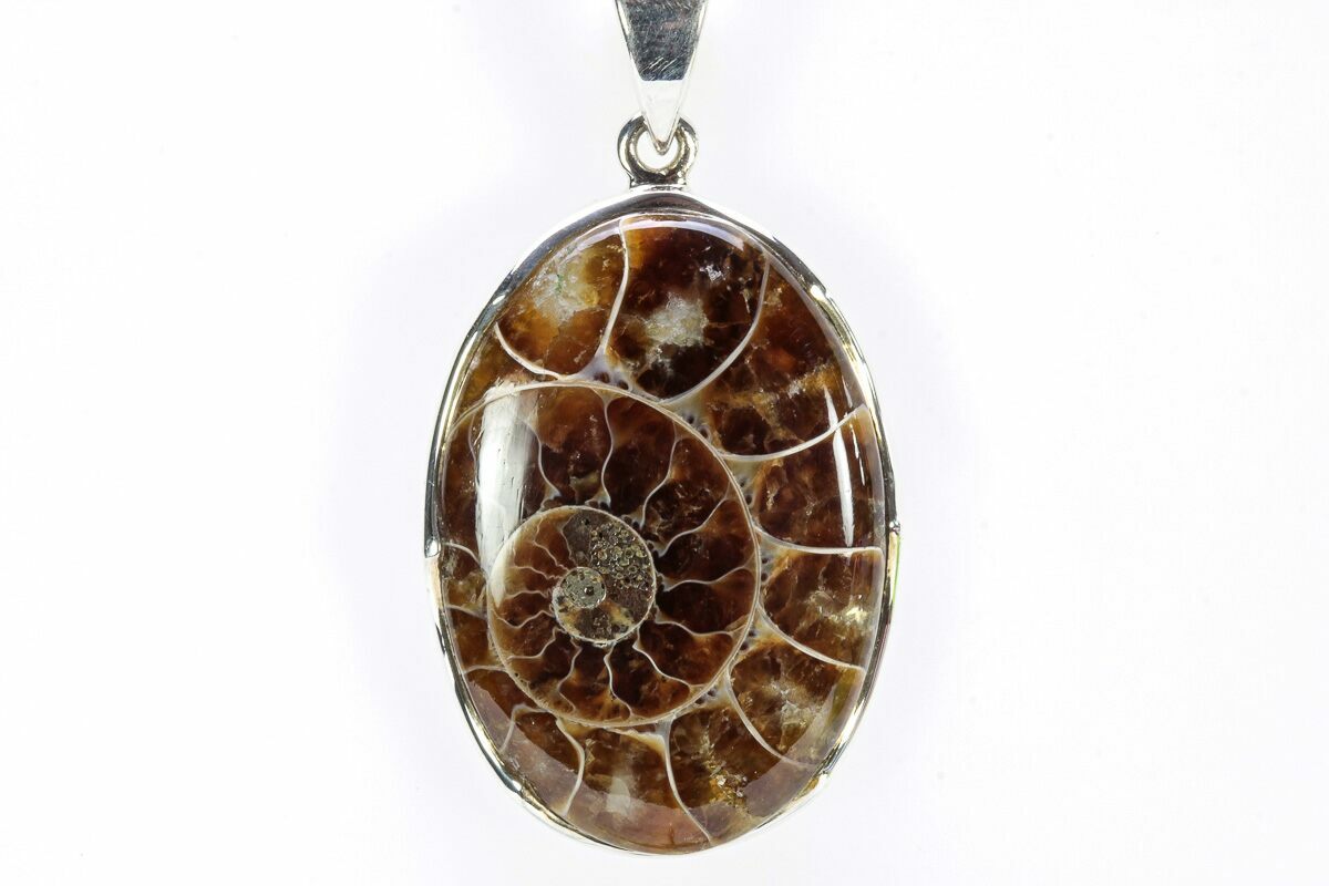 1 4 Fossil Ammonite Pendant 110 Million Years Old 240285 For Sale