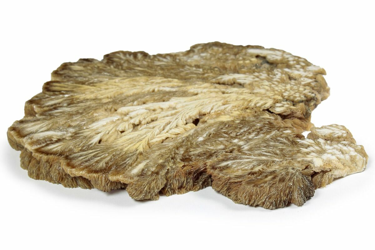 4.8" Polished Barite With Pyrite Slab - Lubin Mine, Poland (#241808 ...