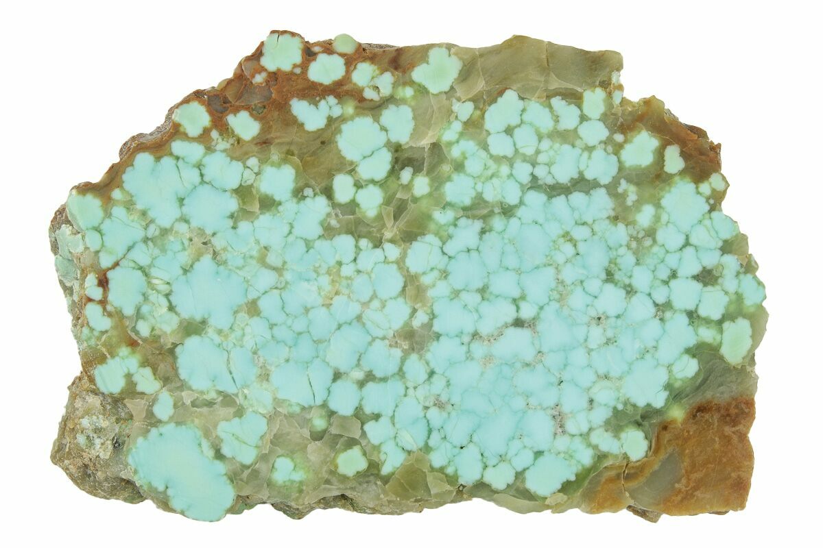 2.2" Polished Turquoise Slab - Number 8 Mine, Carlin, NV (#244461) For ...