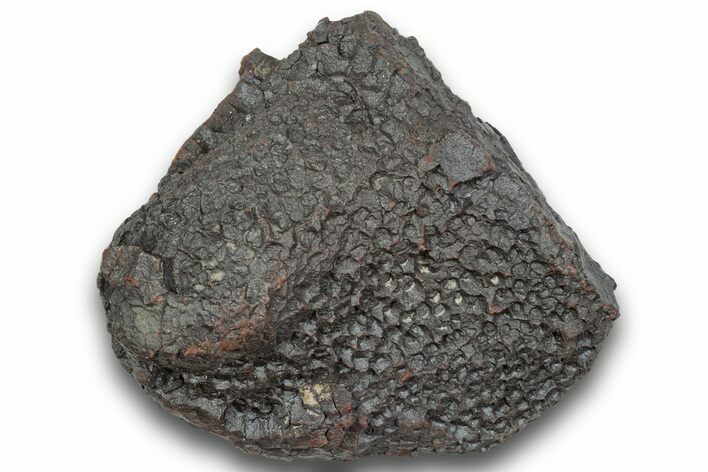 3.2" Dragon Scale Stone (Iron, Manganese, Siderite Nodule) (#244971 ...