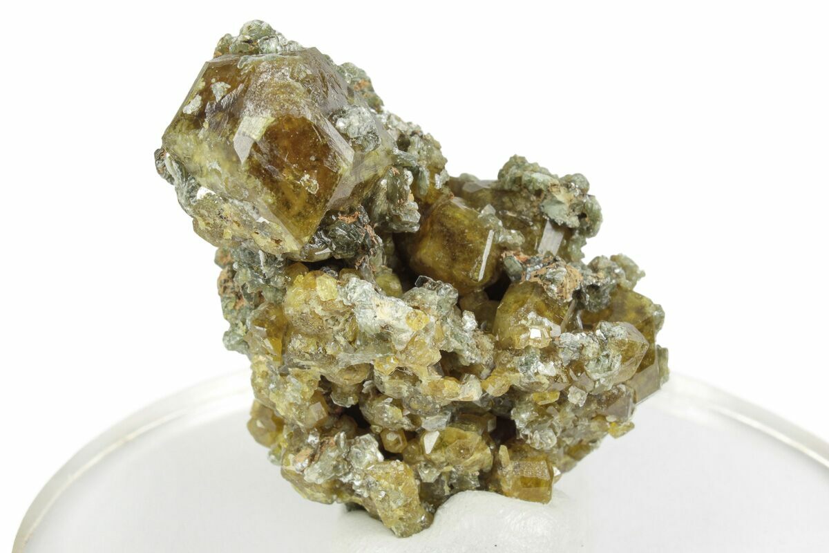 1.9" Yellow Andradite-Grossular Garnet Cluster with Clinochlore - Mali ...